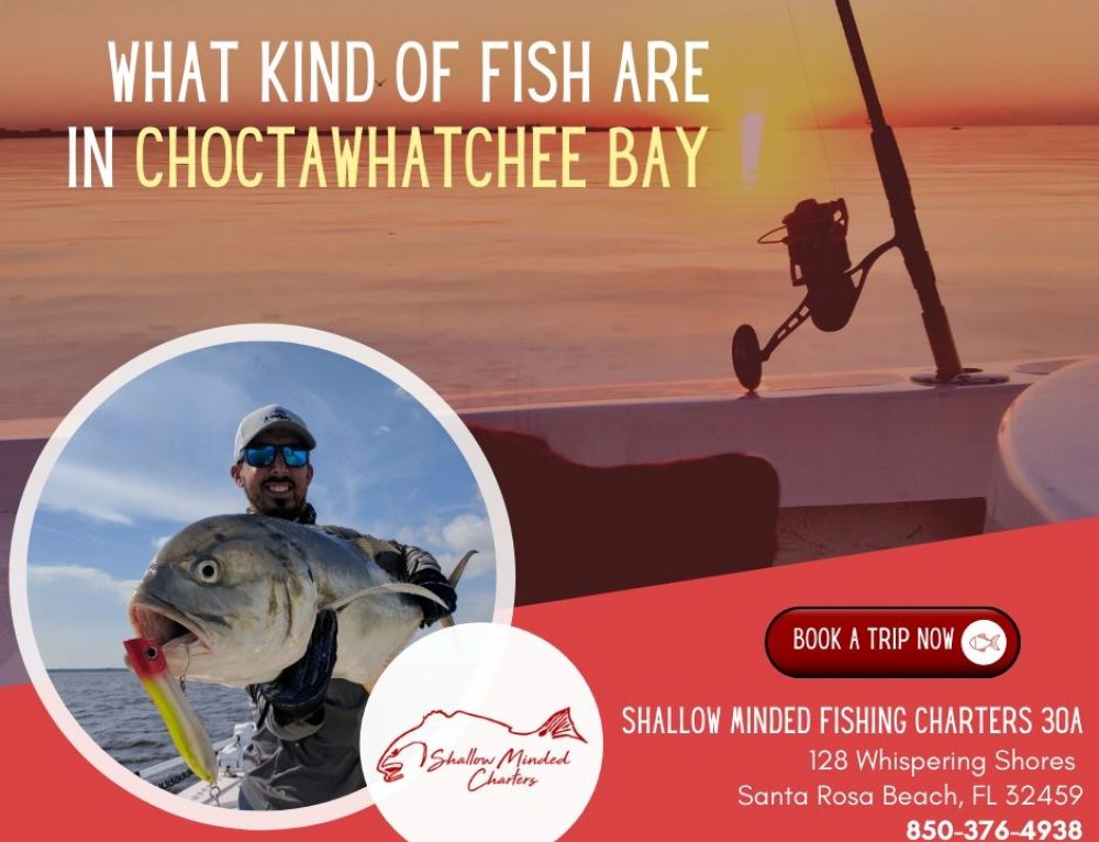 Charter Boat Fishing in Santa Rosa Beach - Shallow Minded Fishing Charters